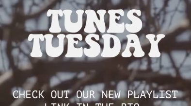 Tunes Tuesday: Top 5 Songs To Add To Your Chill Playlist – The Megaphone