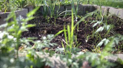 Southwestern Unveils Composting Metrics – The Megaphone